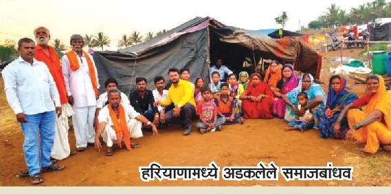 Corona and samajik samrasta - विवेक मराठी