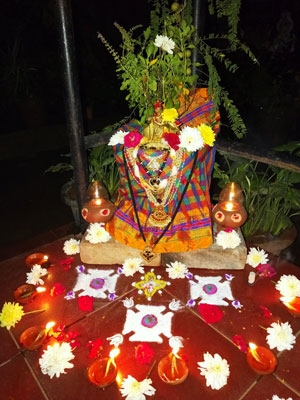 Tulsi marriage is a healthy gift of Hindu culture - विवेक मराठी